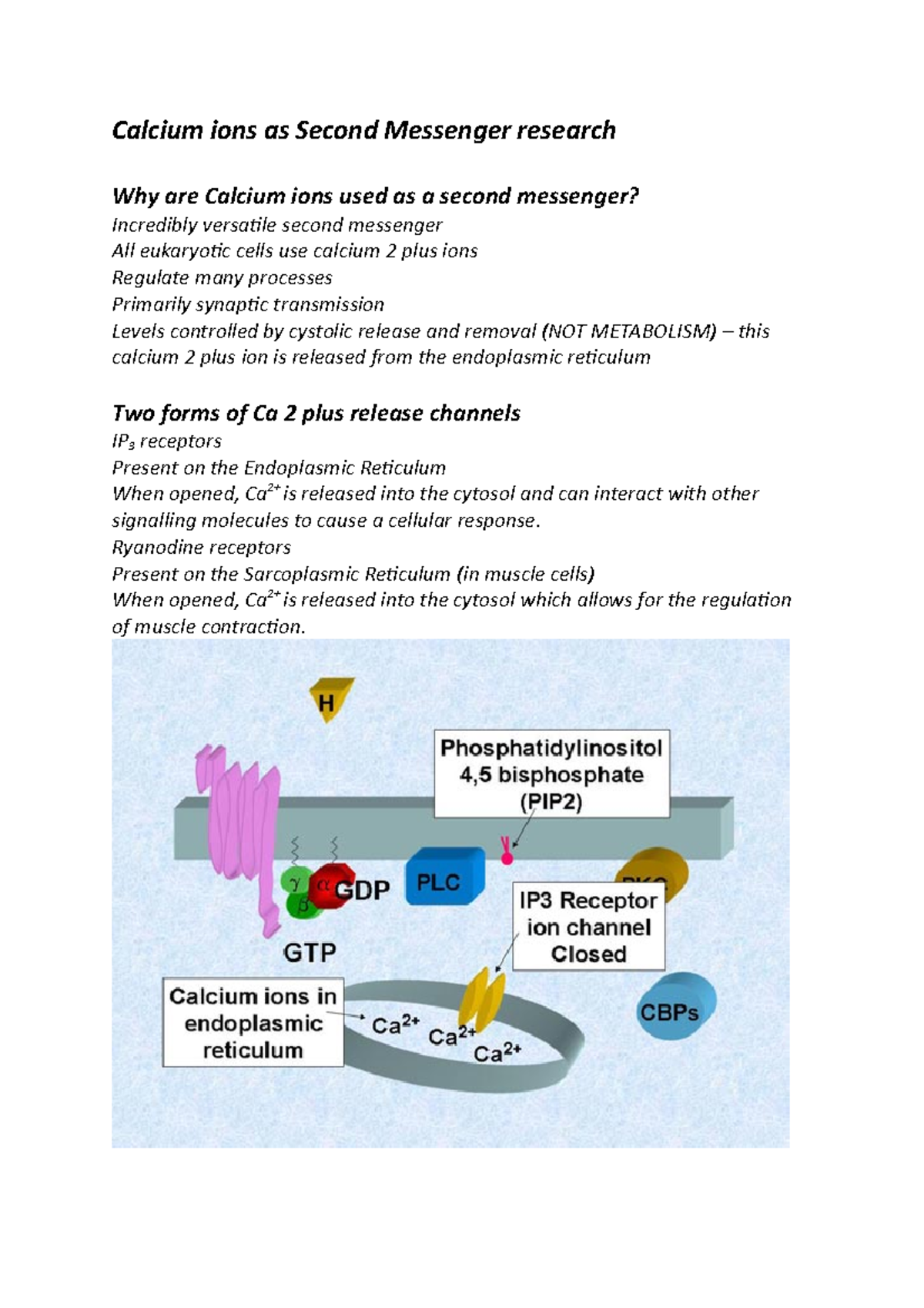 Calcium ions as Second Messenger research - Ryanodine receptors Present ...
