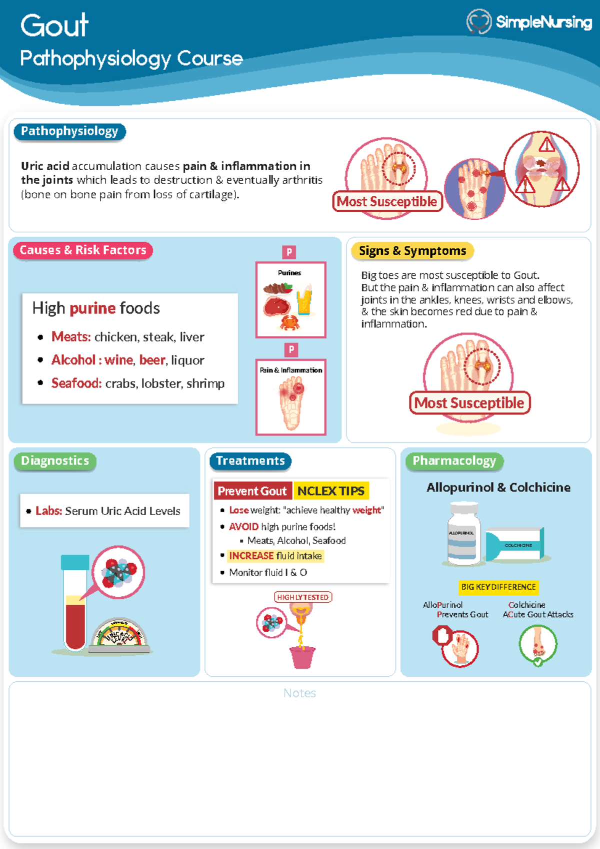 2. Gout - fesdaf - Gout Pathophysiology Course Uric acid accumulation ...