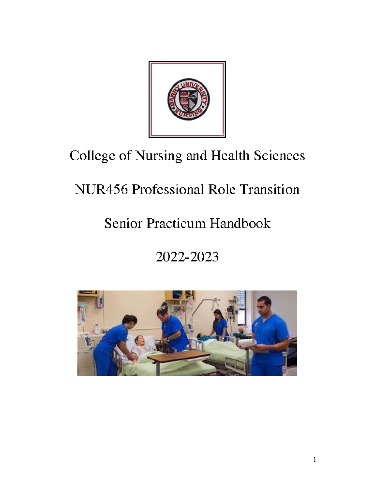 NUR 456 Role Transition Handbook F 2022-2023 - College of Nursing and ...