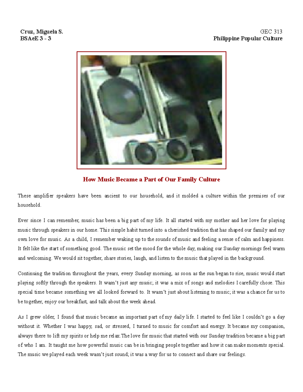 GEC 313 - Notes - Cruz, Miguela S. BSAeE 3 - 3 GEC 313 Philippine ...