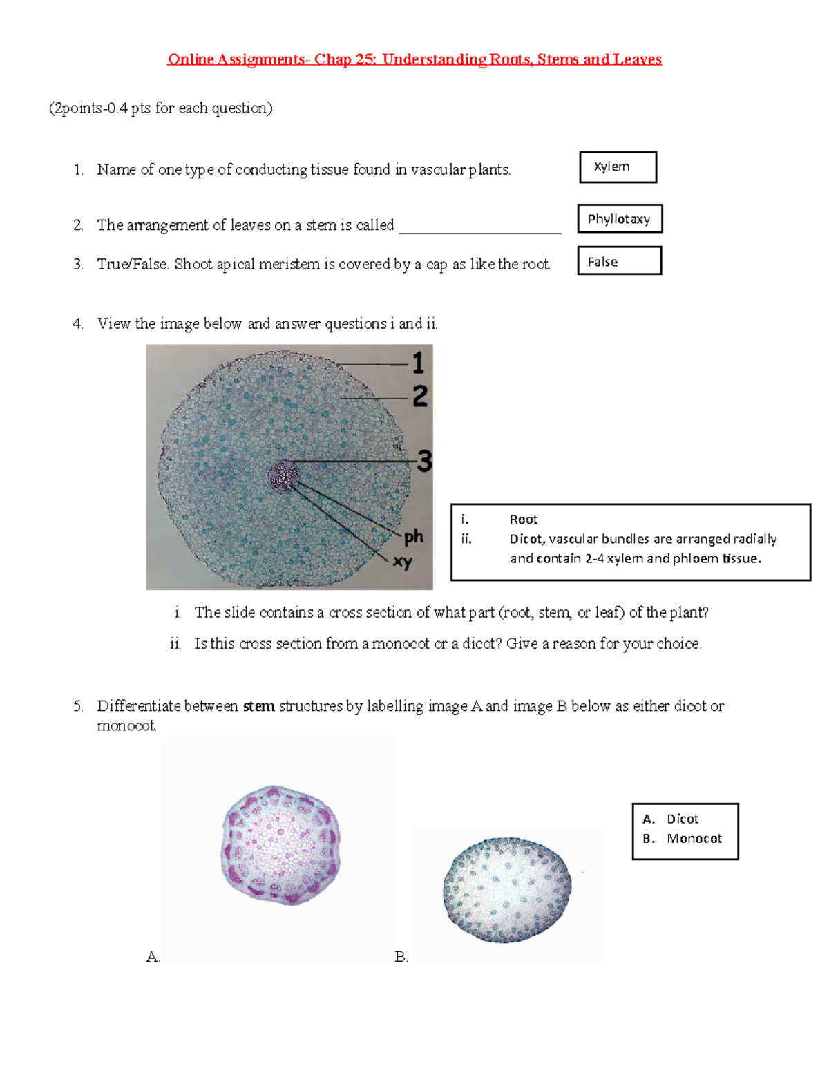 Lab-10- Roots, Stems & Leaves-1 - Online Assignments- Chap 25 ...