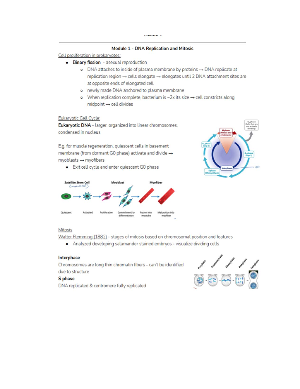 Bio 1A03 lecture module notes 2020-2021 - Bio 1A03 - McMaster - Studocu