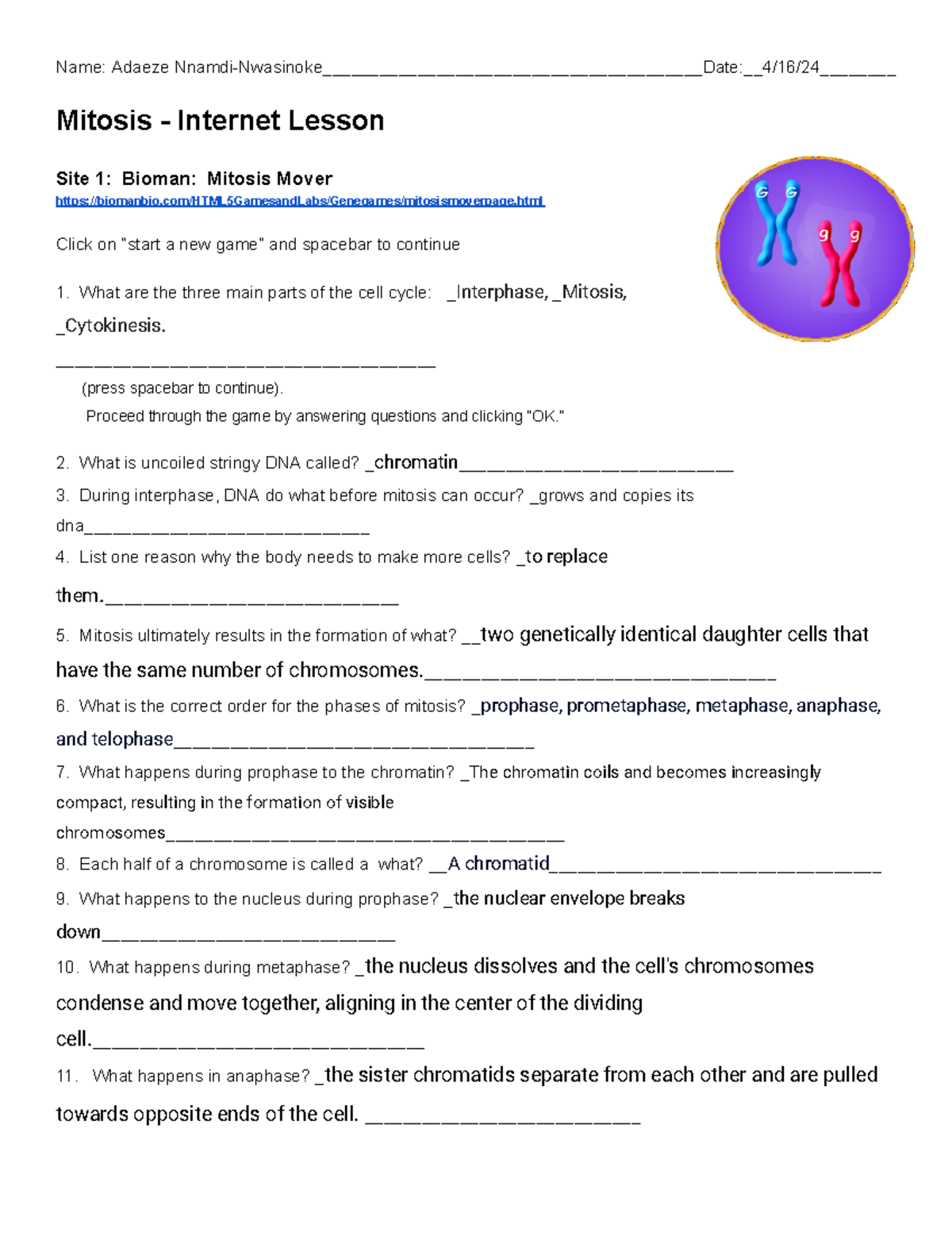 Q4 Wk 33 Mitosis Internet Lesson - Name: Adaeze - Studocu