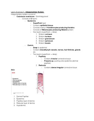 Anatomy and Physiology Lab; Exercise 20+21 - Brain Structure+Function ...