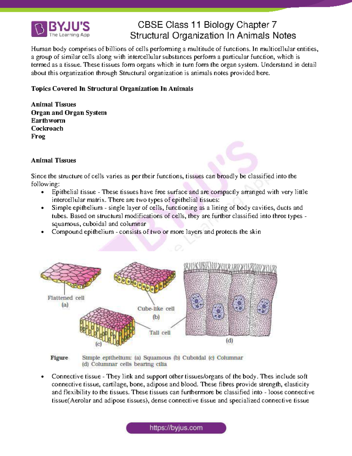 CBSE Class 11 Biology Chapter 7 Structural Organization In Animals ...