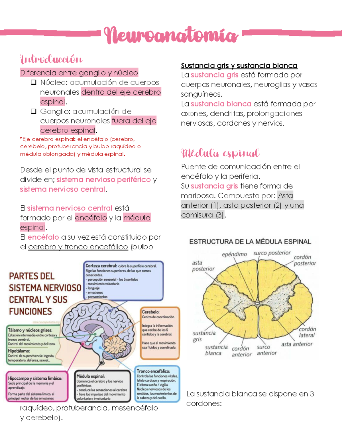 Neuroanatomía by Ross 2 - Neuroanatomía Introducción Diferencia entre ...
