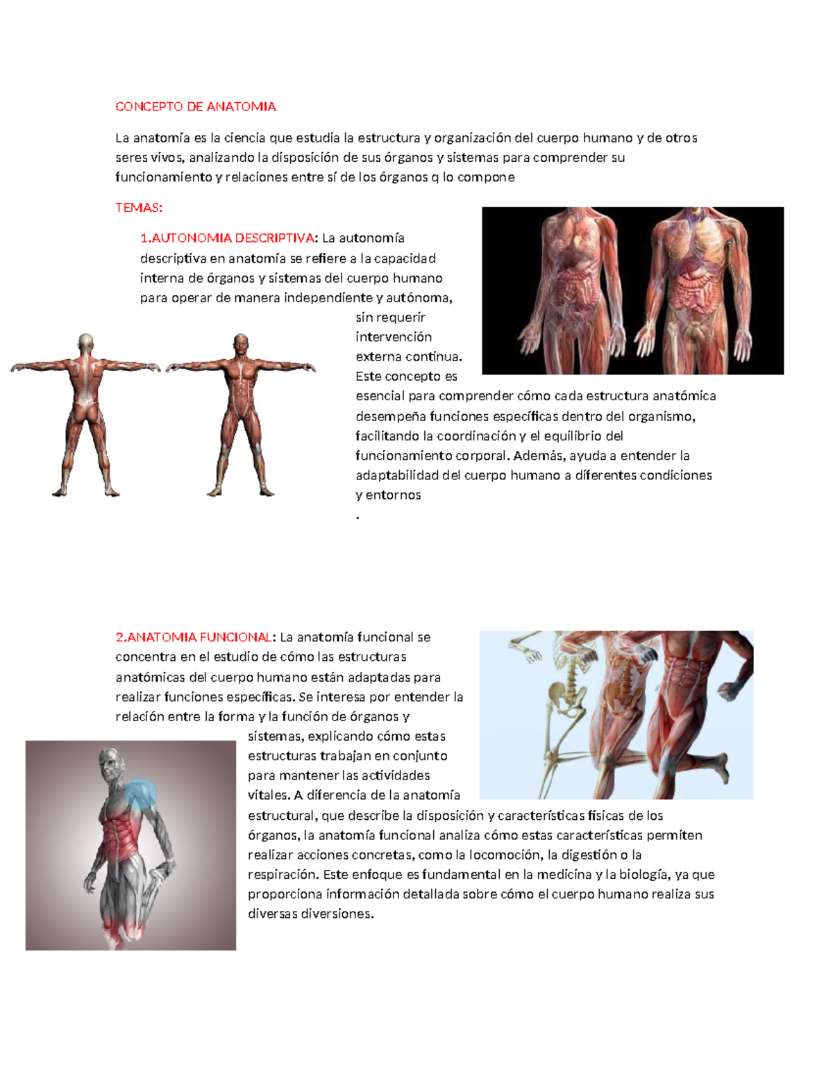 Concepto DE Anatomia - ESPERO QUE TE AYUDE - CONCEPTO DE ANATOMIA La ...