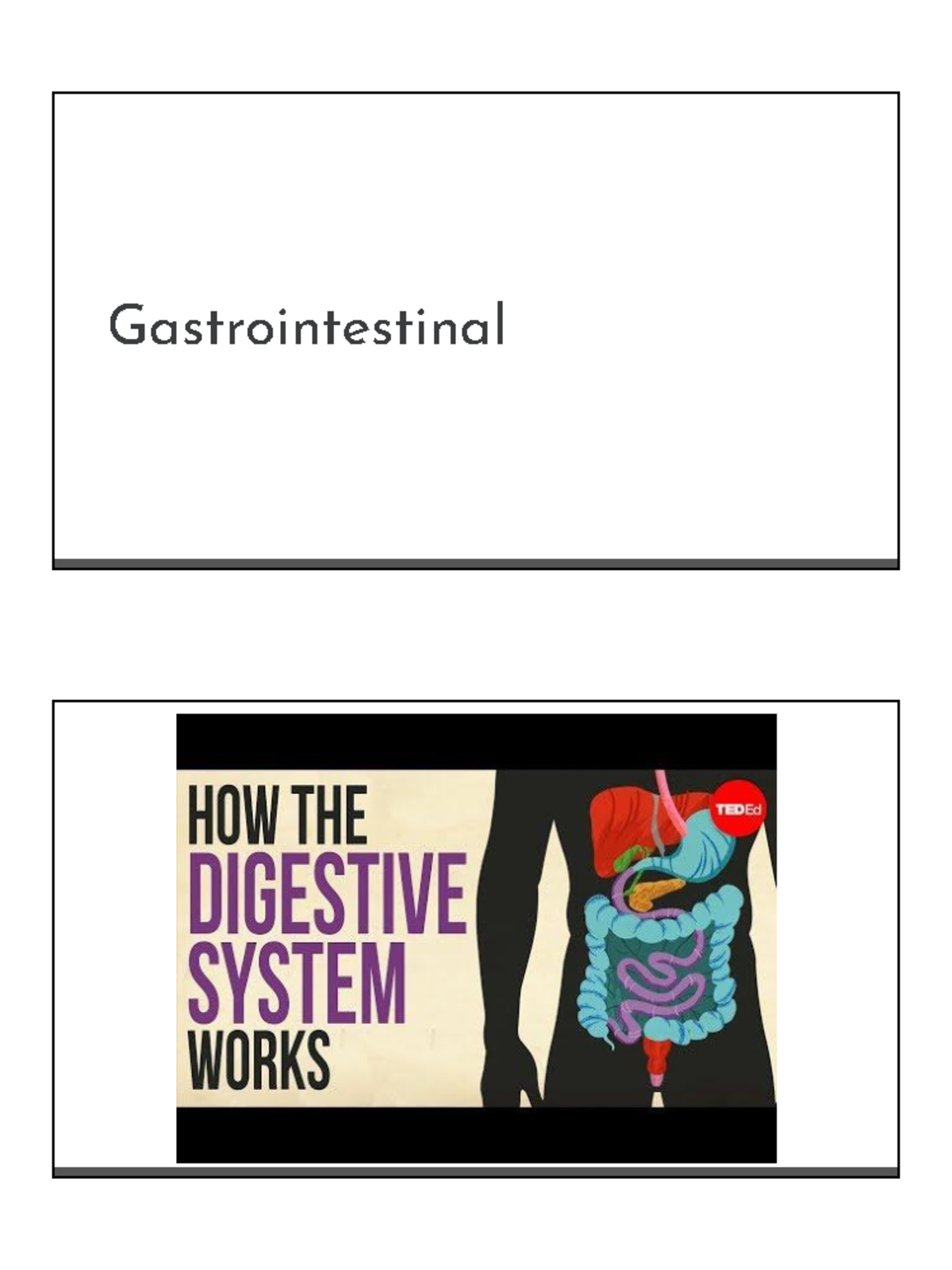 Gastrointestinal 2112023 - Gastrointestinal Stomach Temporary storage ...