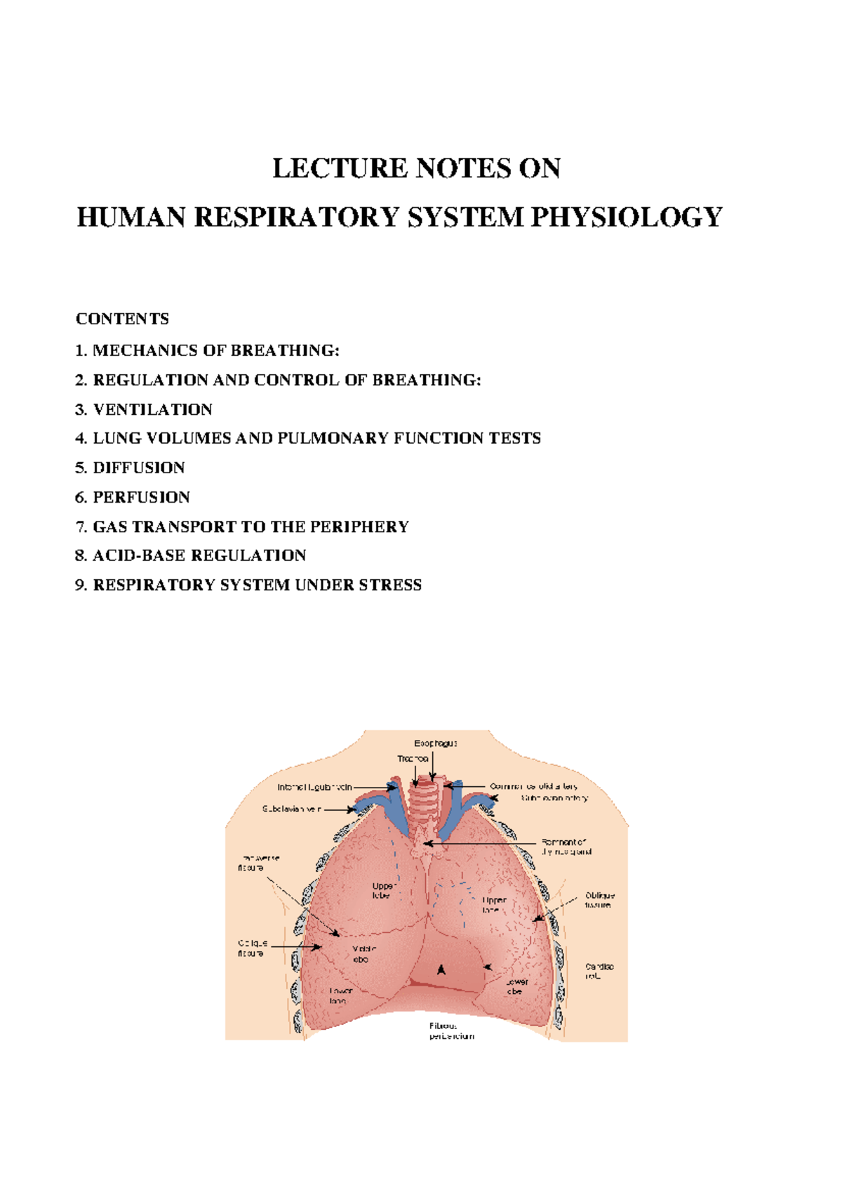 Human Respiratory System Physiology - LECTURE NOTES ON HUMAN ...