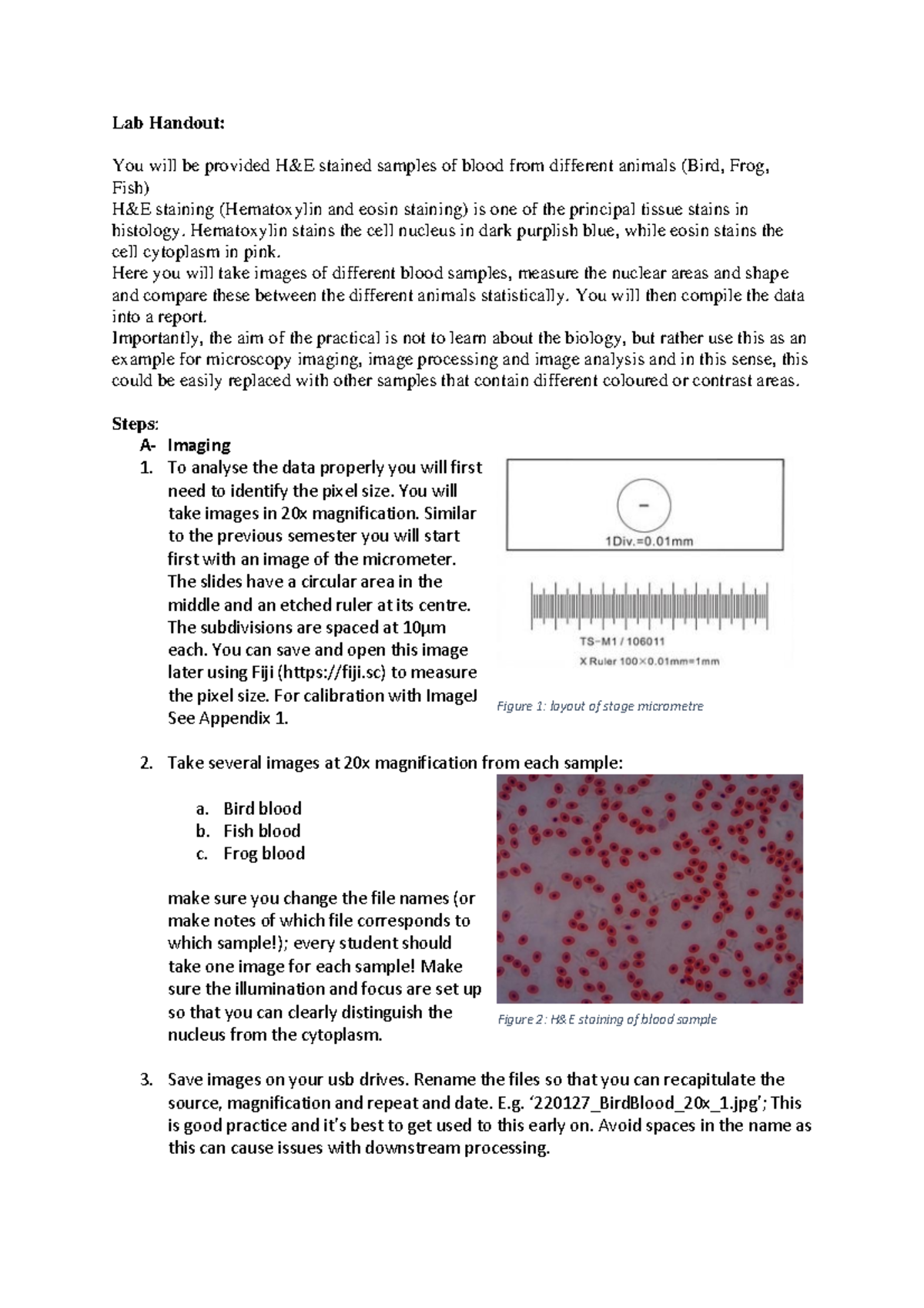Lab-Handout-Microscopy-Image-Analysis - Lab Handout: You will be ...