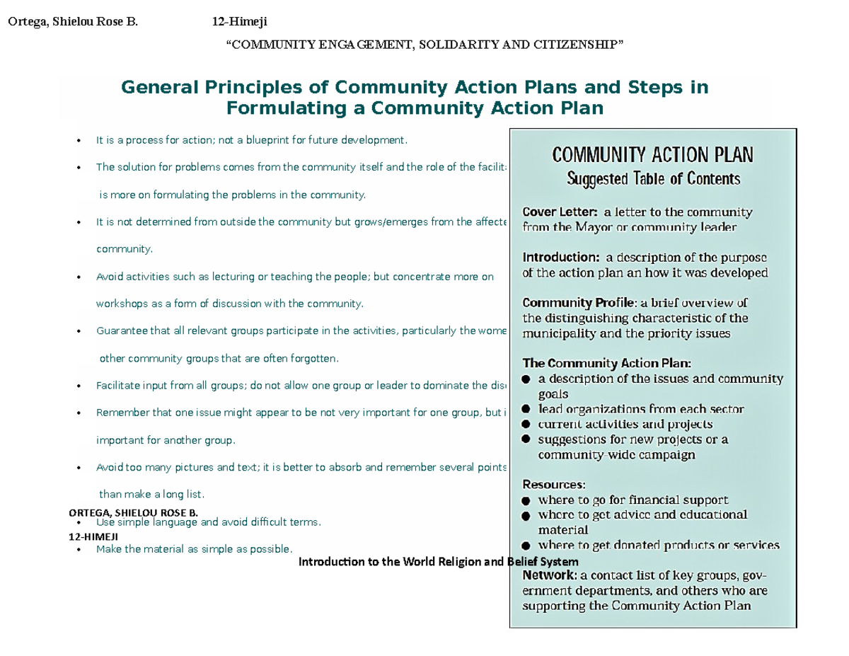 Solidarity - gggg - General Principles of Community Action Plans and ...