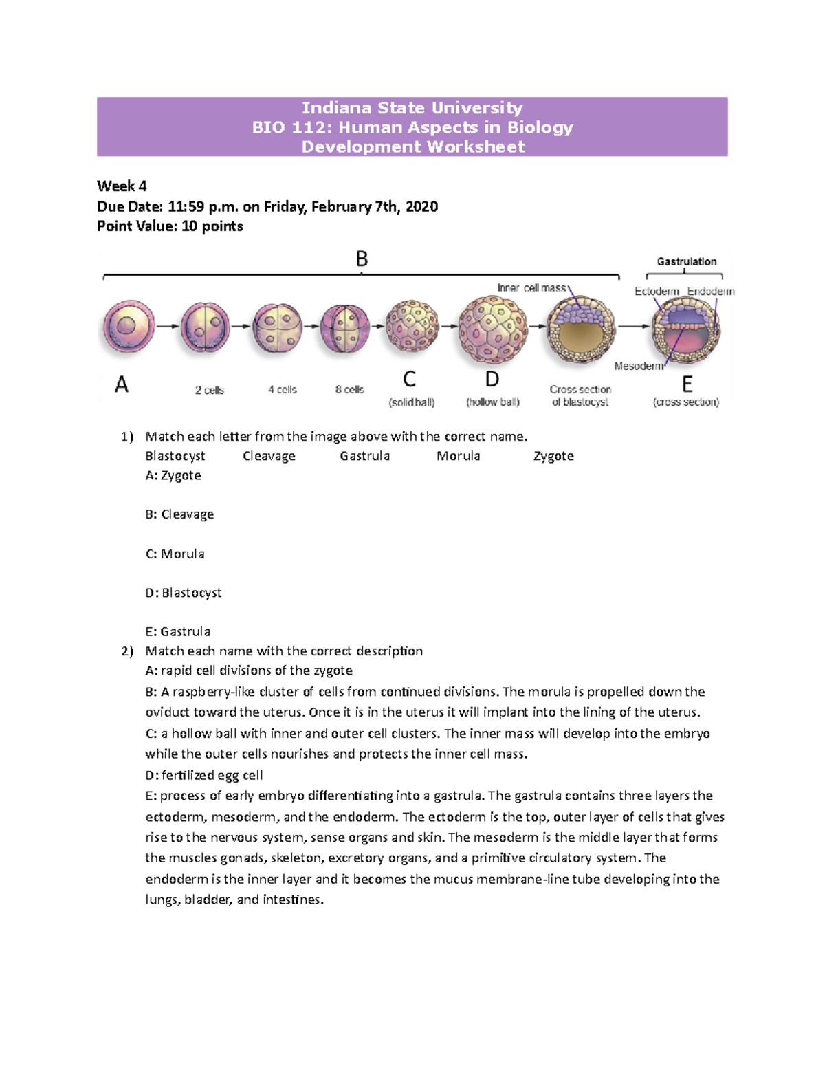 Week 4 Development Worksheet - Indiana State University BIO 112: Human ...