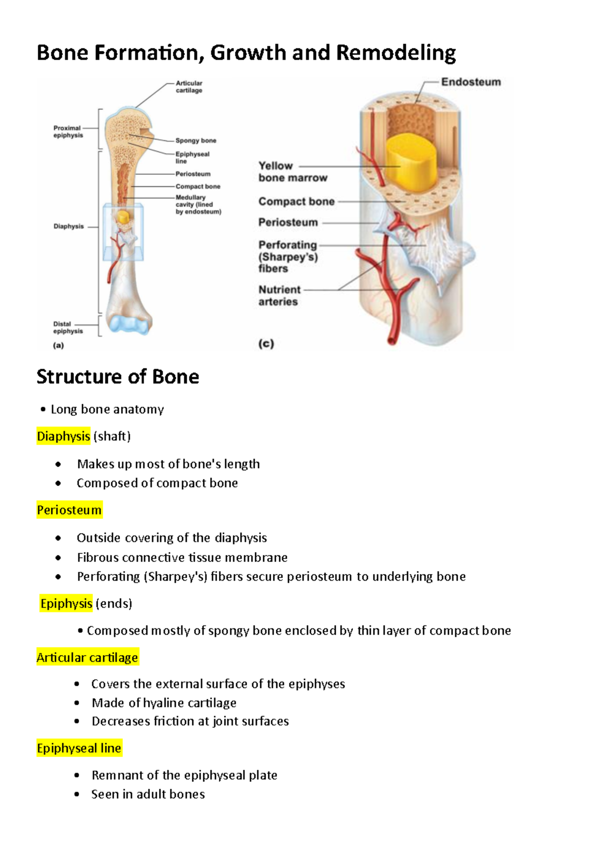 Gagelonia, Carlos Martin E. - BSN 1C - Bone Formation, Growth and Remodeling Structure of Bone ...
