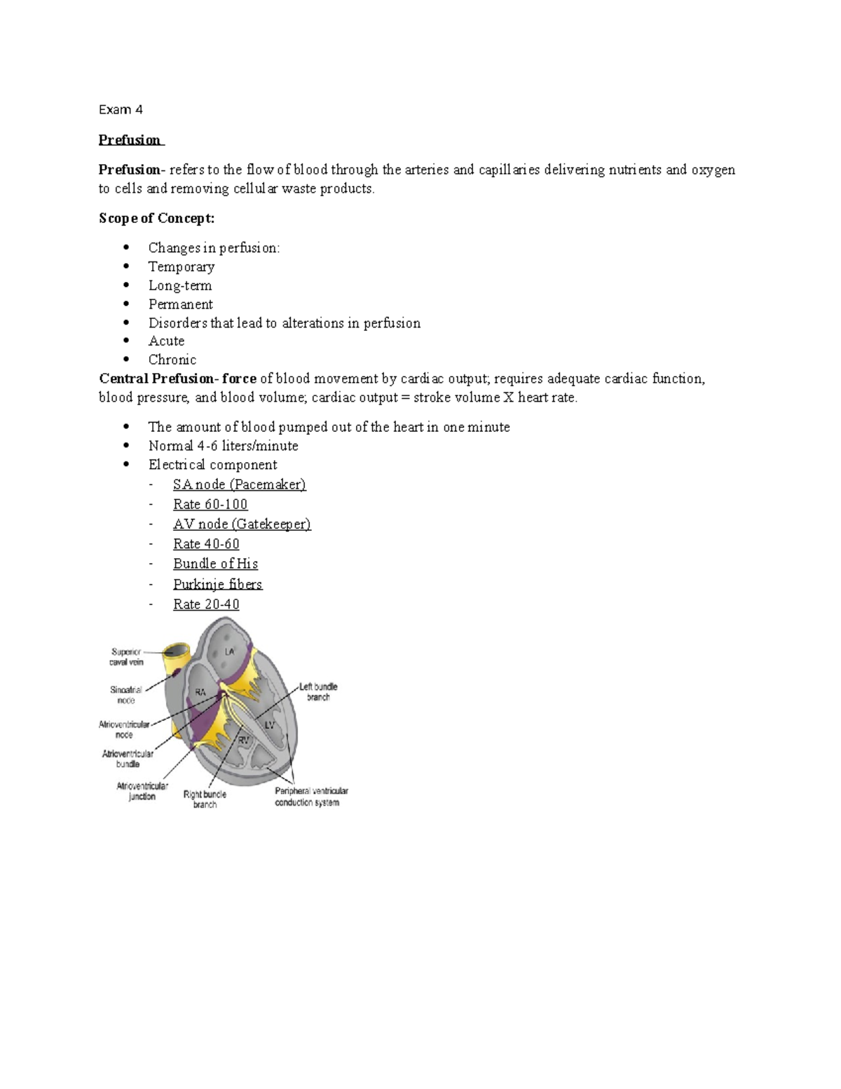 Exam 4 201 - Notes for exam 4 - Exam 4 Prefusion Prefusion- refers to ...