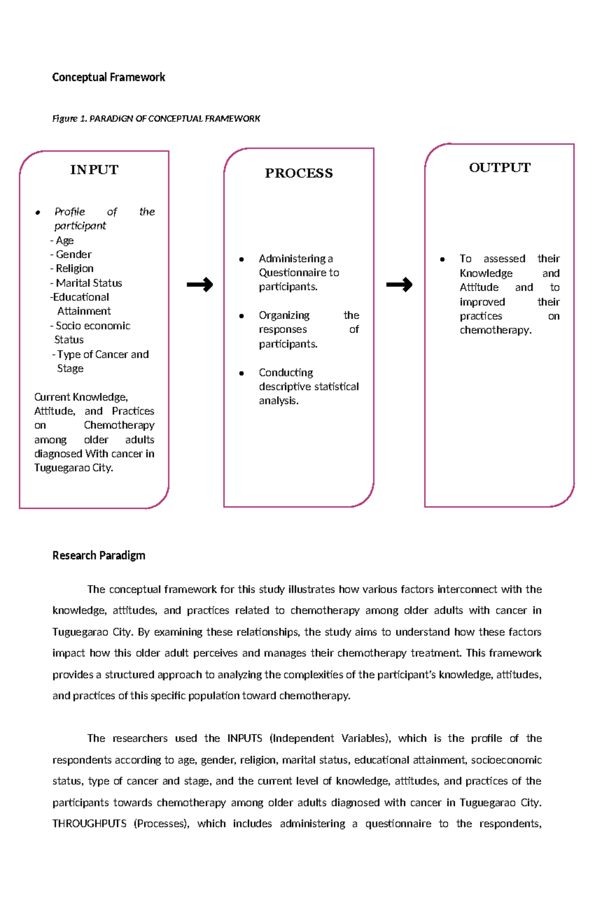 Conceptual Framework - NURSING MATERIALS - Conceptual Framework Figure ...