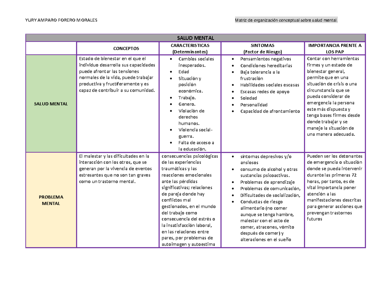 Evidencia Matriz de organización conceptual sobre salud mental. AA1 ...