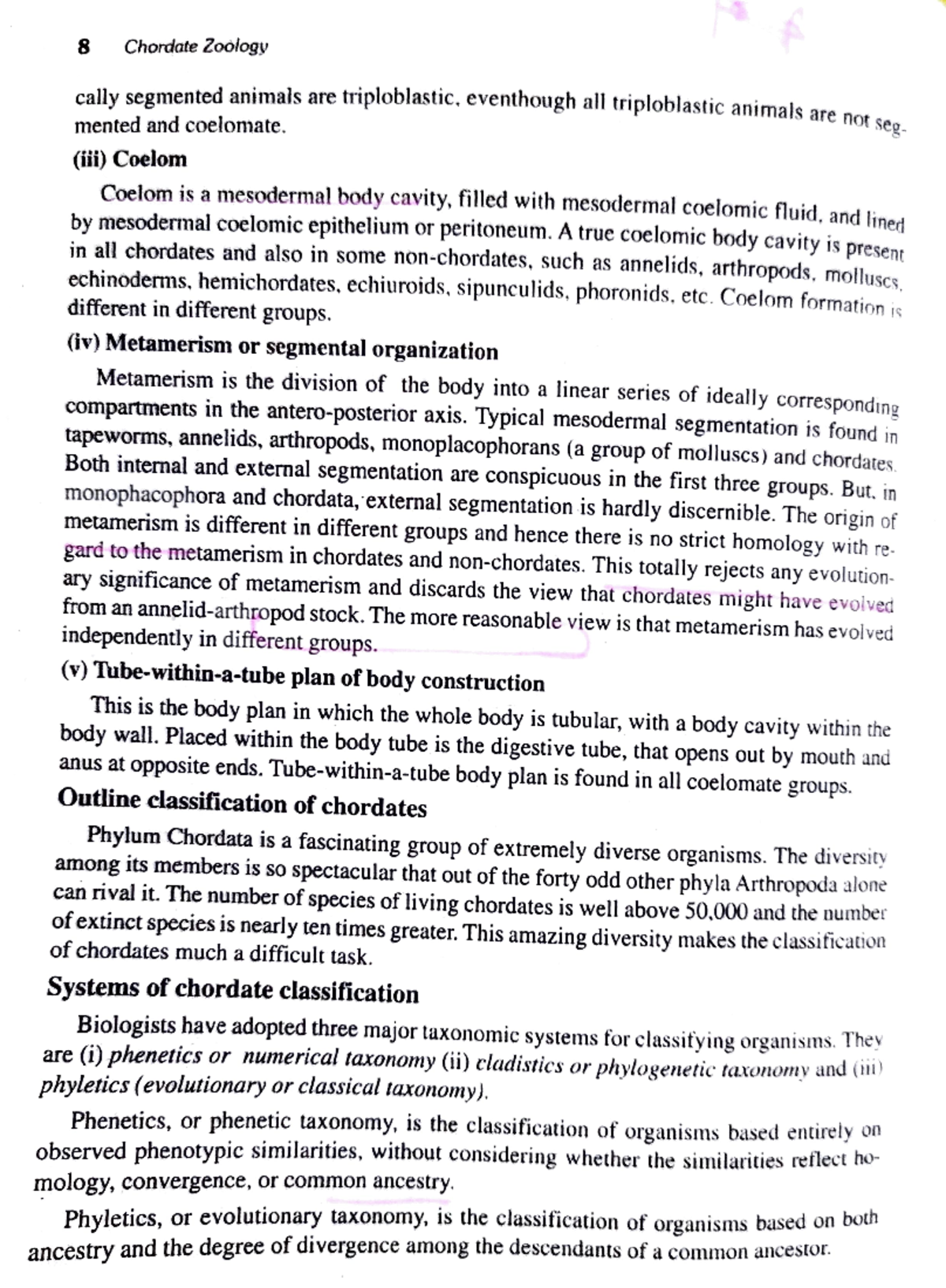 classification of chordates - 8 Chordate Zoology seg ot cally segmented ...