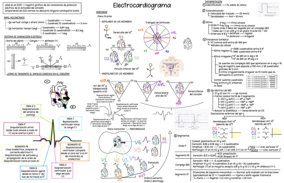 Resúmenes MI - Electrocardiograma ¿Qué es un ECG? -> registro grafico ...