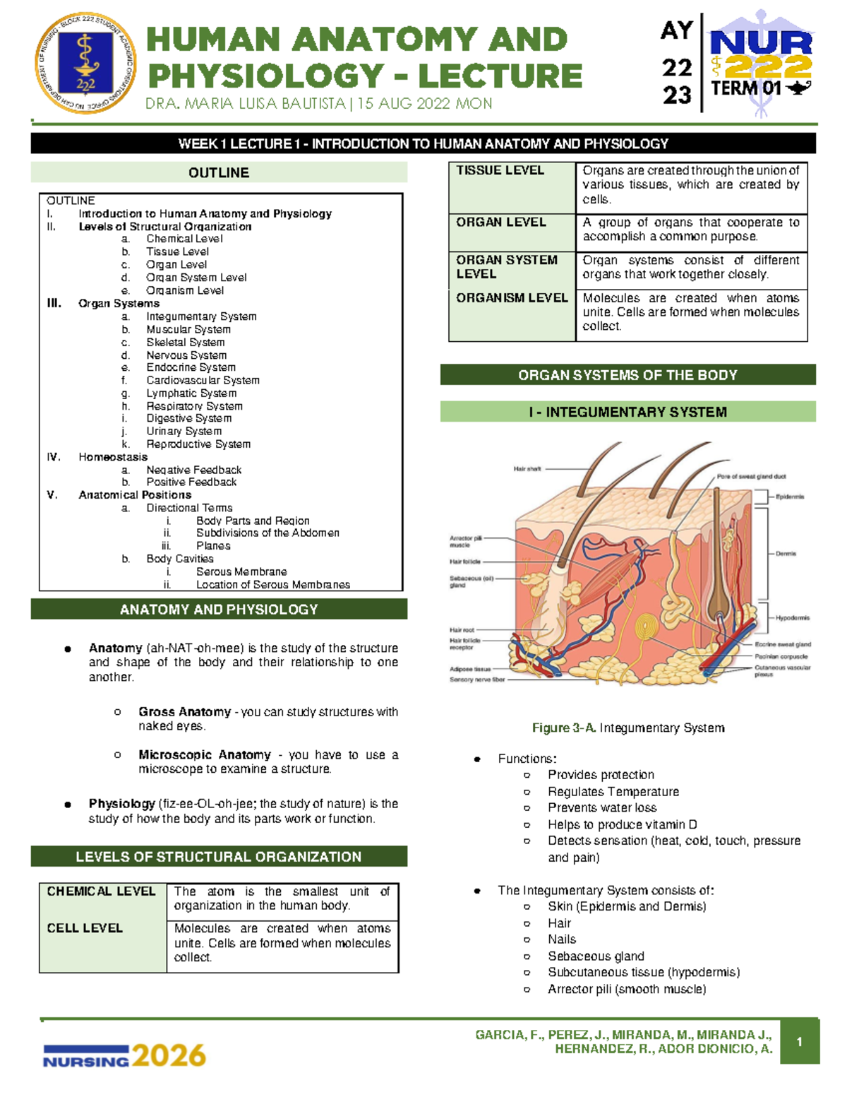 Trans 1 Introduction to Anatomy and Physiology - Group 2 - DRA. MARIA ...