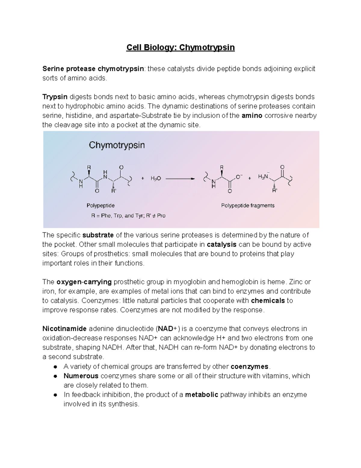 Cell Biology Chymotrypsin - Cell Biology: Chymotrypsin Serine protease ...