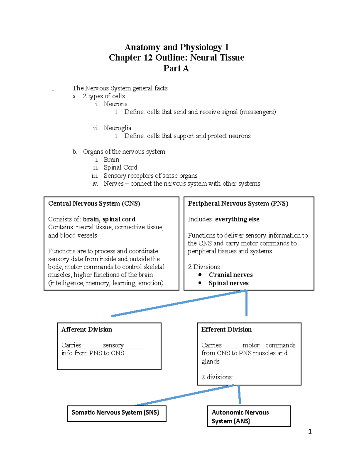 Ch 12a - notes - Anatomy and Physiology I Chapter 12 Outline: Neural ...