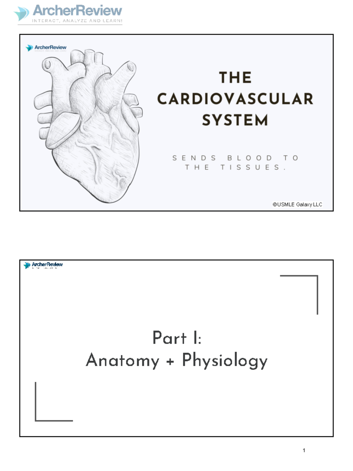 Archer Cardiac slides - Cardiac © USMLE Galaxy LLC Part I: Anatomy ...