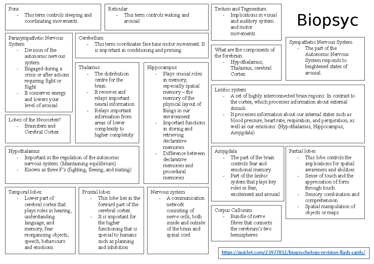 Quizlet biopsych revison 2 - Nervous system - A communication network ...