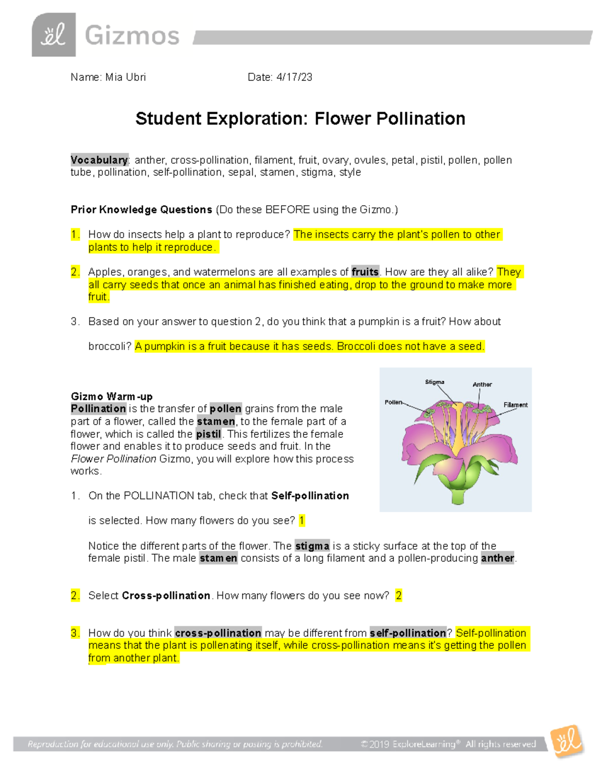 Flower Pollination SE - fdhgjsklsd - 2019 Name: Mia Ubri Date: 4/17 ...