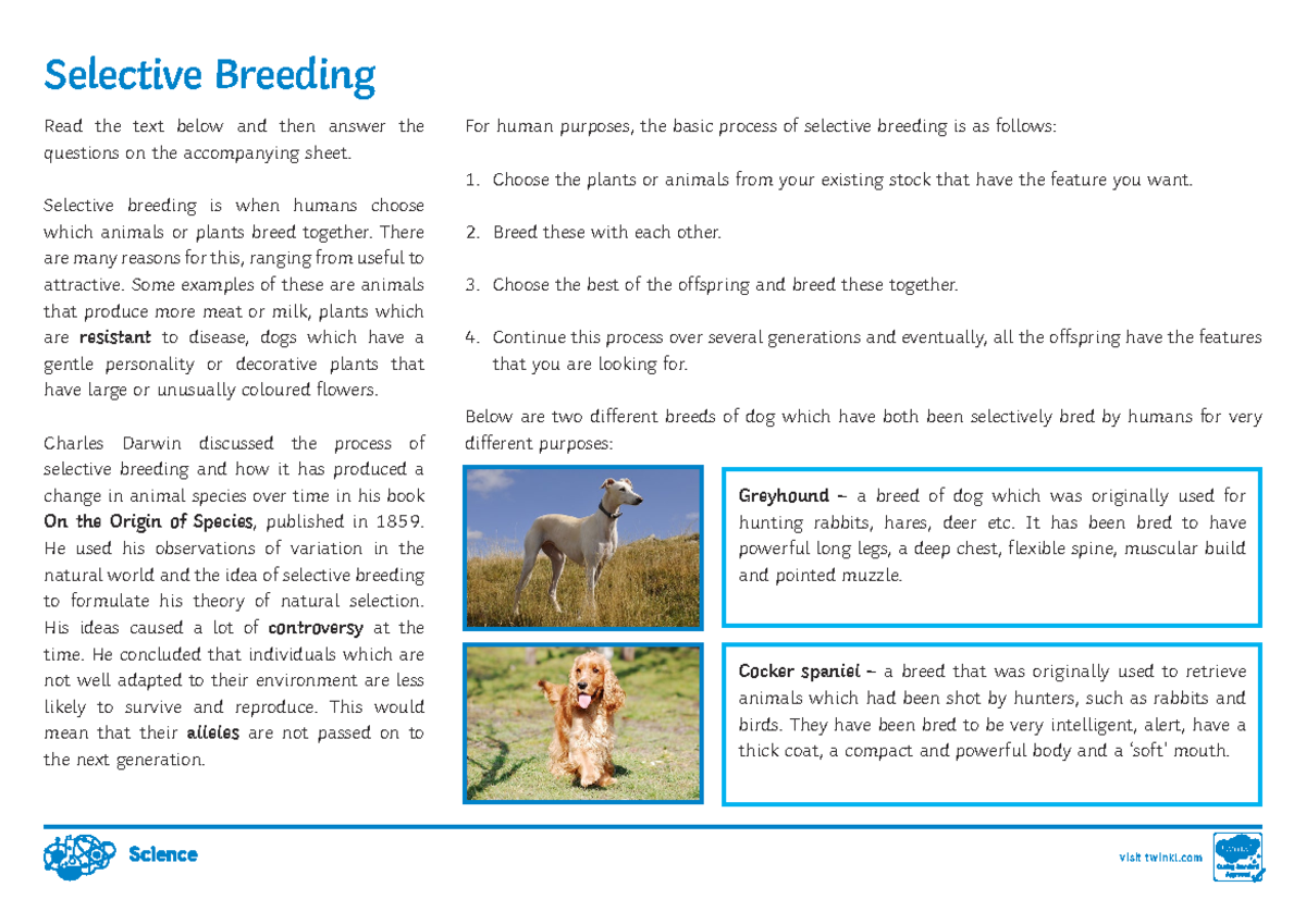 Selective Breeding Reading Comprehension Lower Ability - Selective ...