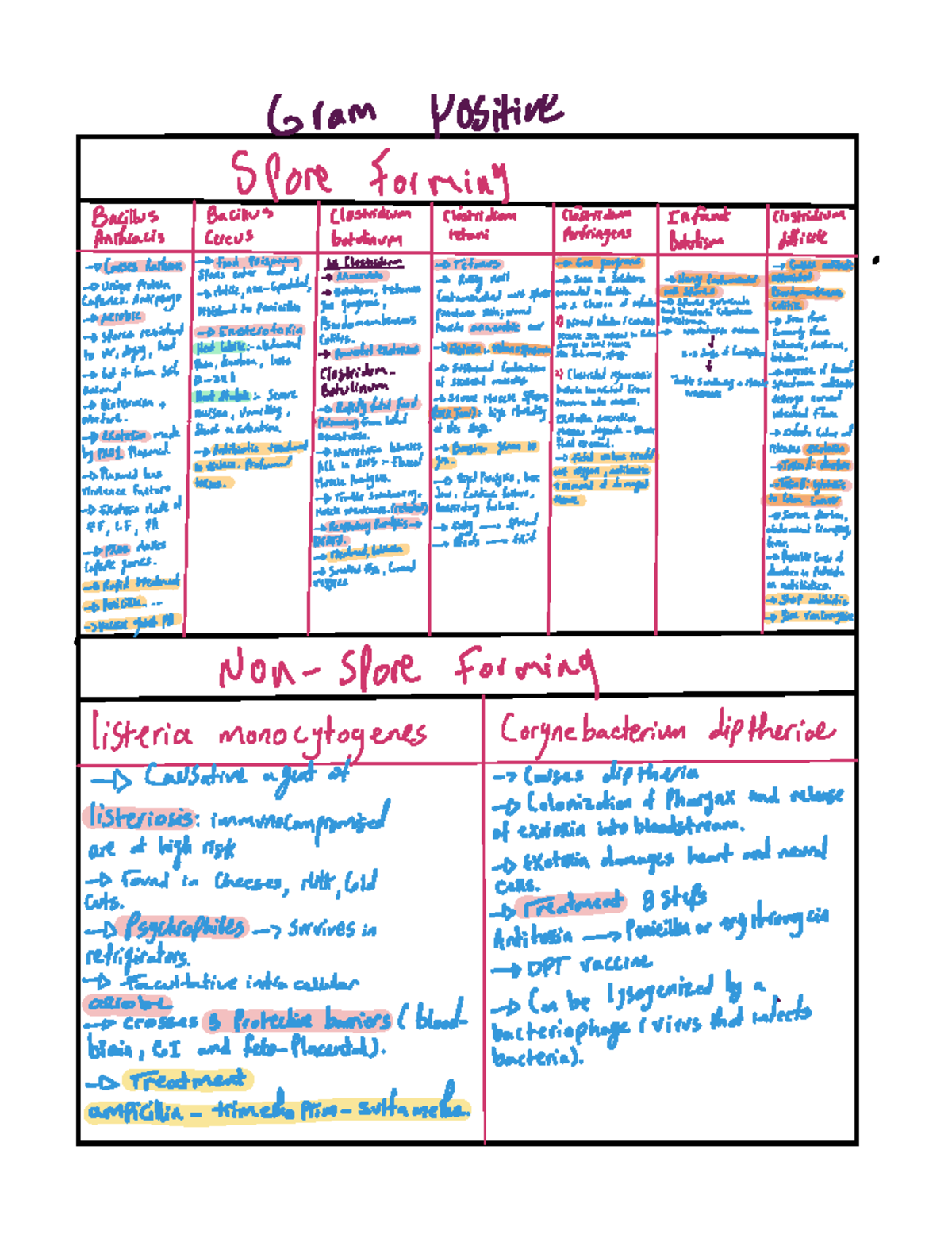 Note Nov 20, 2023 - Summary of Gram negative and positive Bacilli ...