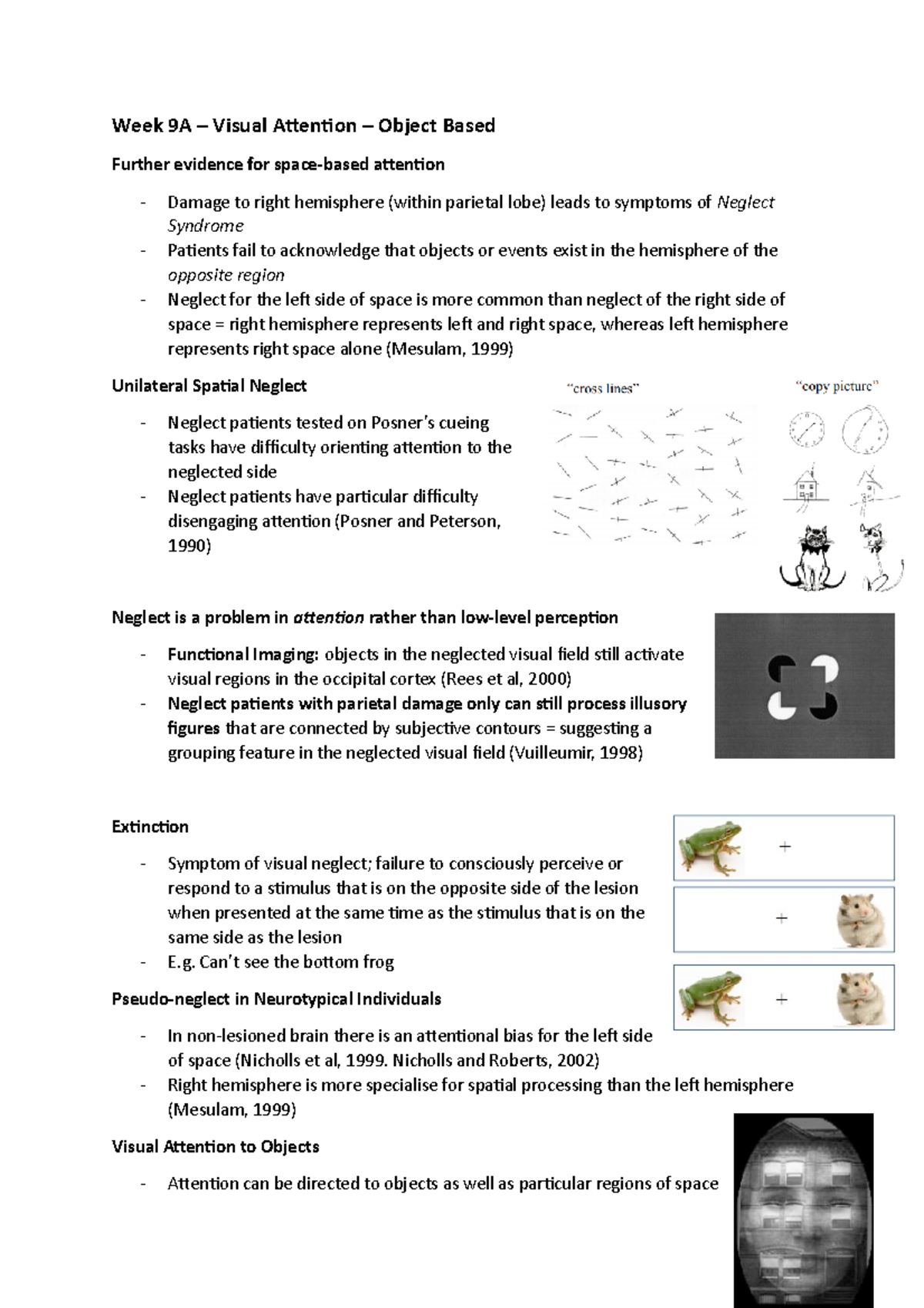 Visual attention object-based - Week 9A – Visual Attention – Object ...