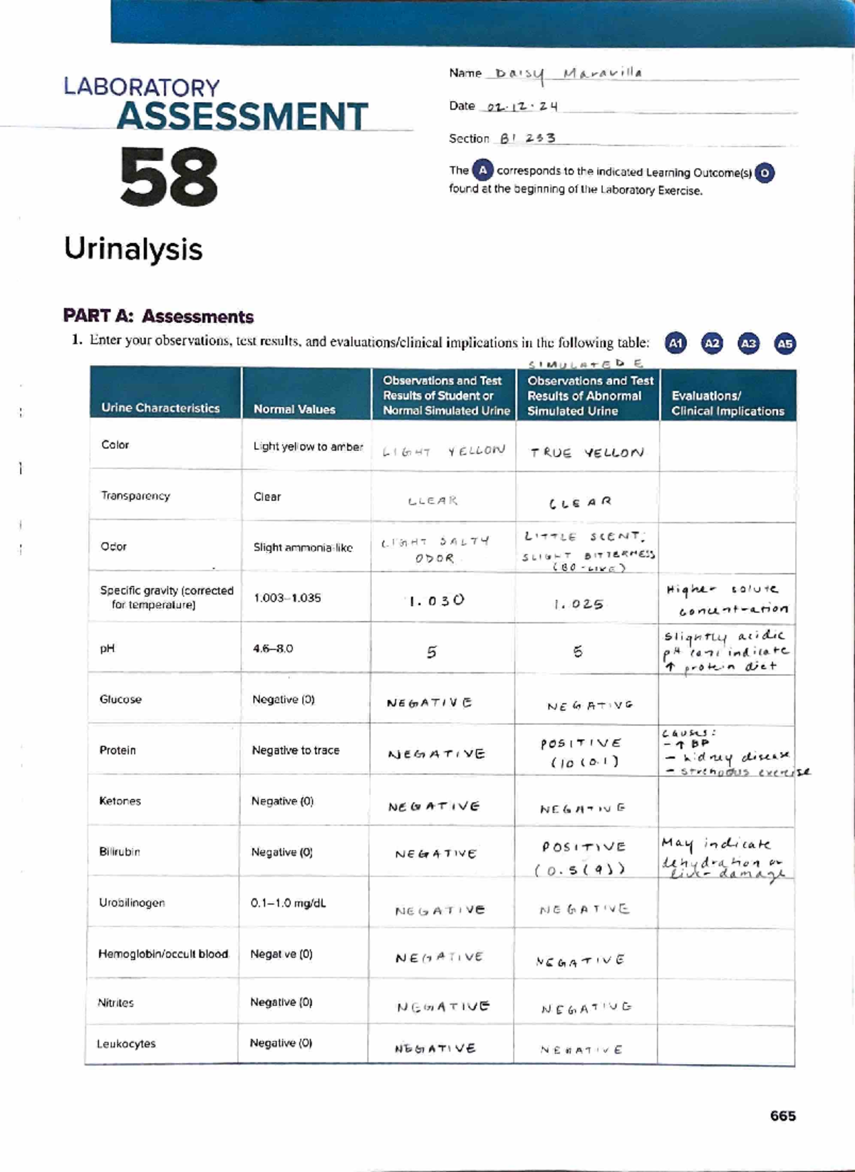 Laboratory Assessment 58: Urinalysis - LABORATORY _ ASSESSMENI _ Date ...