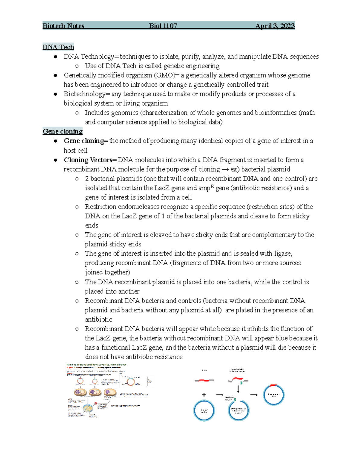 Biotech Notes - DNA Tech DNA Technology= techniques to isolate, purify ...