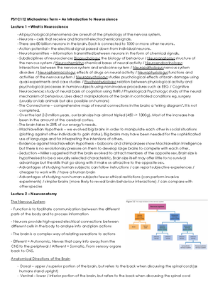 Chapter 6- the visual system - CHAPTER 6 THE VISUAL SYSTEM: HOW WE SEE ...