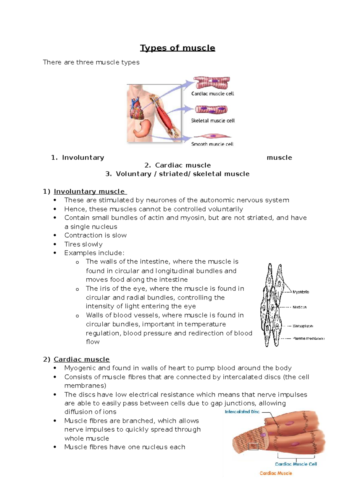 Types of muscle - Types of muscle There are three muscle types 1 ...