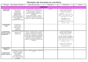 Anatomia del ojo - ANATOMIA DEL OJO ORBITA: Conducto optico formado por ...