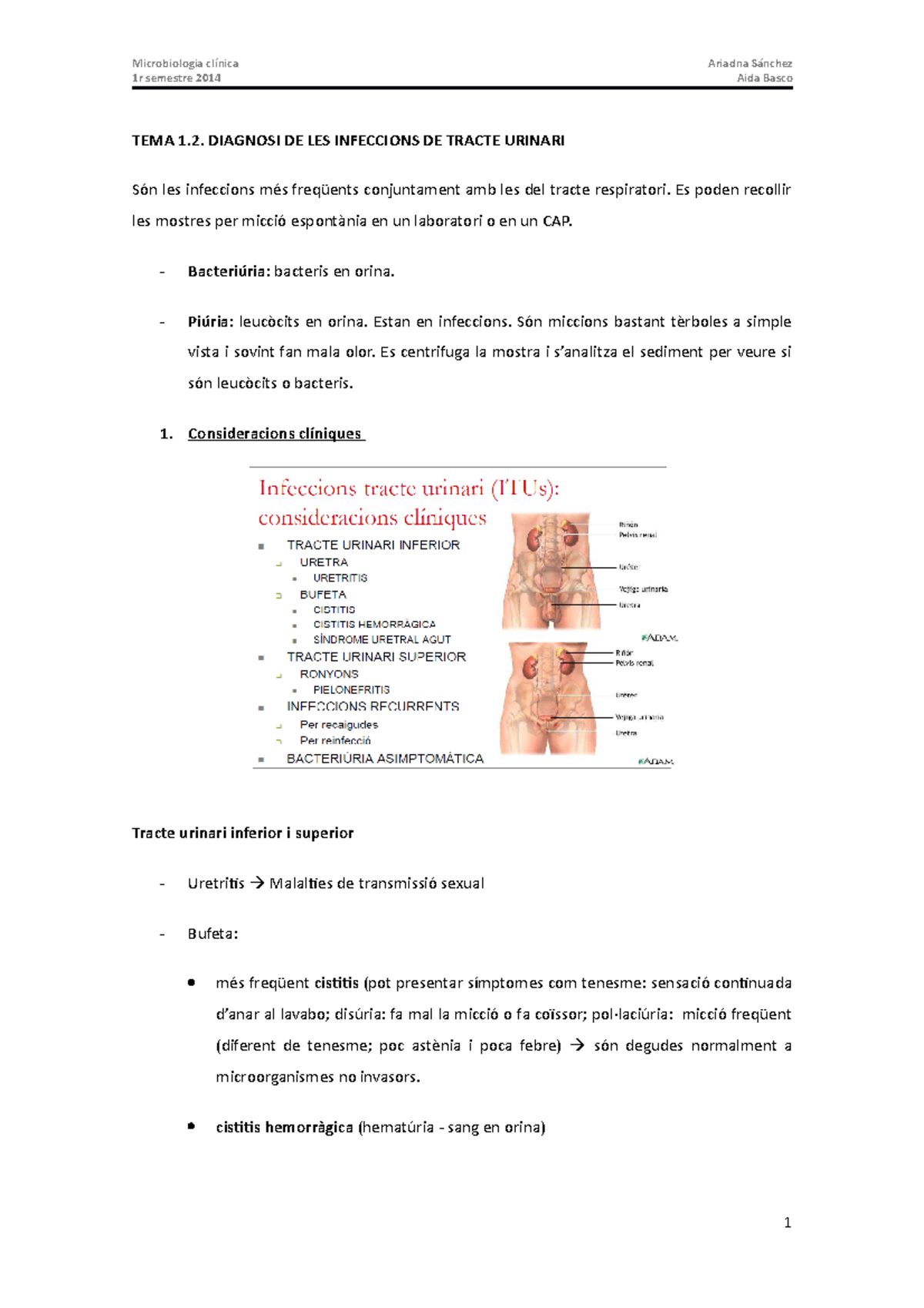 Tema 2 TU - Apuntes 2 - 1r semestre 2014 Aida Basco TEMA 1. DIAGNOSI DE ...