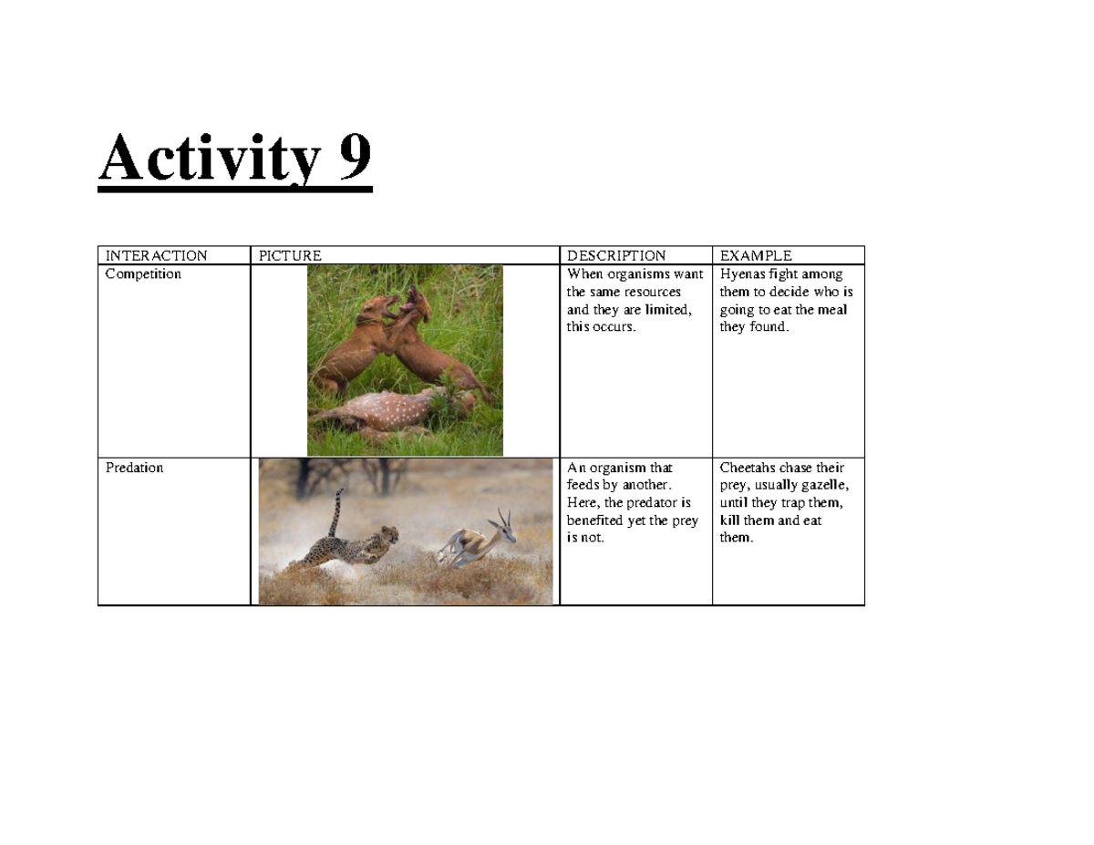 Activity 9 ECOLOGY - Activity 9 INTERACTION PICTURE DESCRIPTION EXAMPLE ...