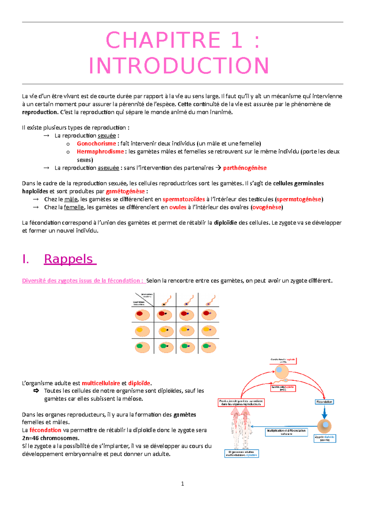 Chapitre 1 - Introduction - CHAPITRE 1 : INTRODUCTION La vie d’un être vivant est de courte ...
