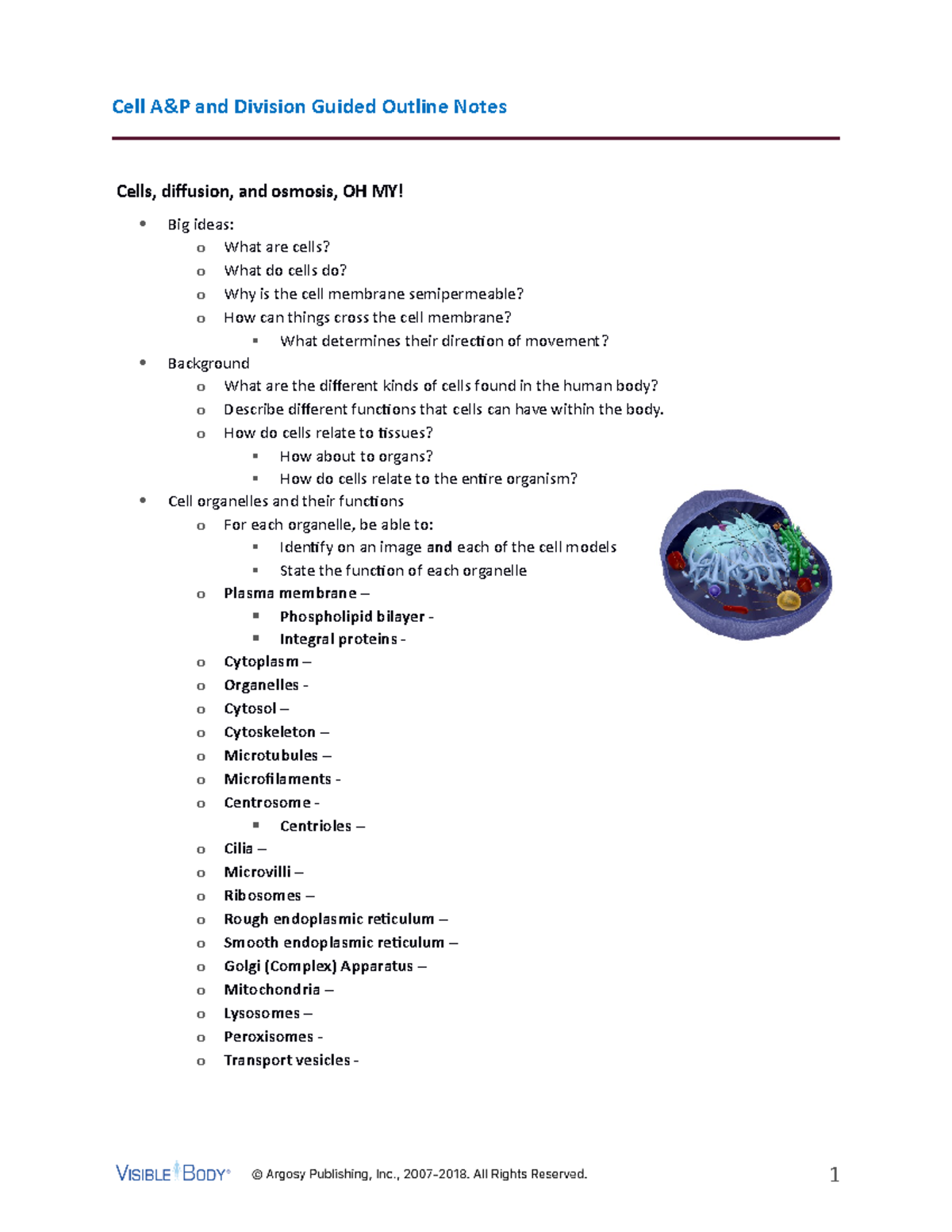 Cell A P and Mitosis Guided Outline Notes - Cell A&P and Division ...