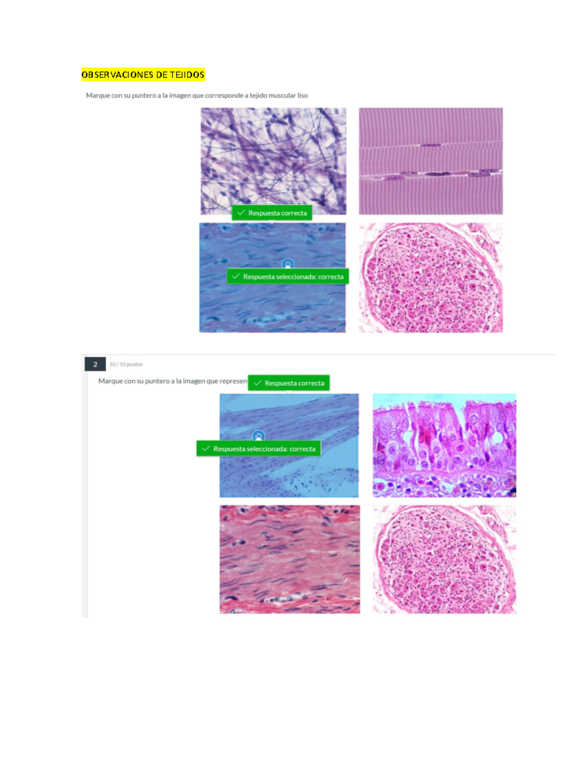 Generalidades DE Tejido Basico Imagnes - Histología - OBSERVACIONES DE TEJIDOS - Studocu