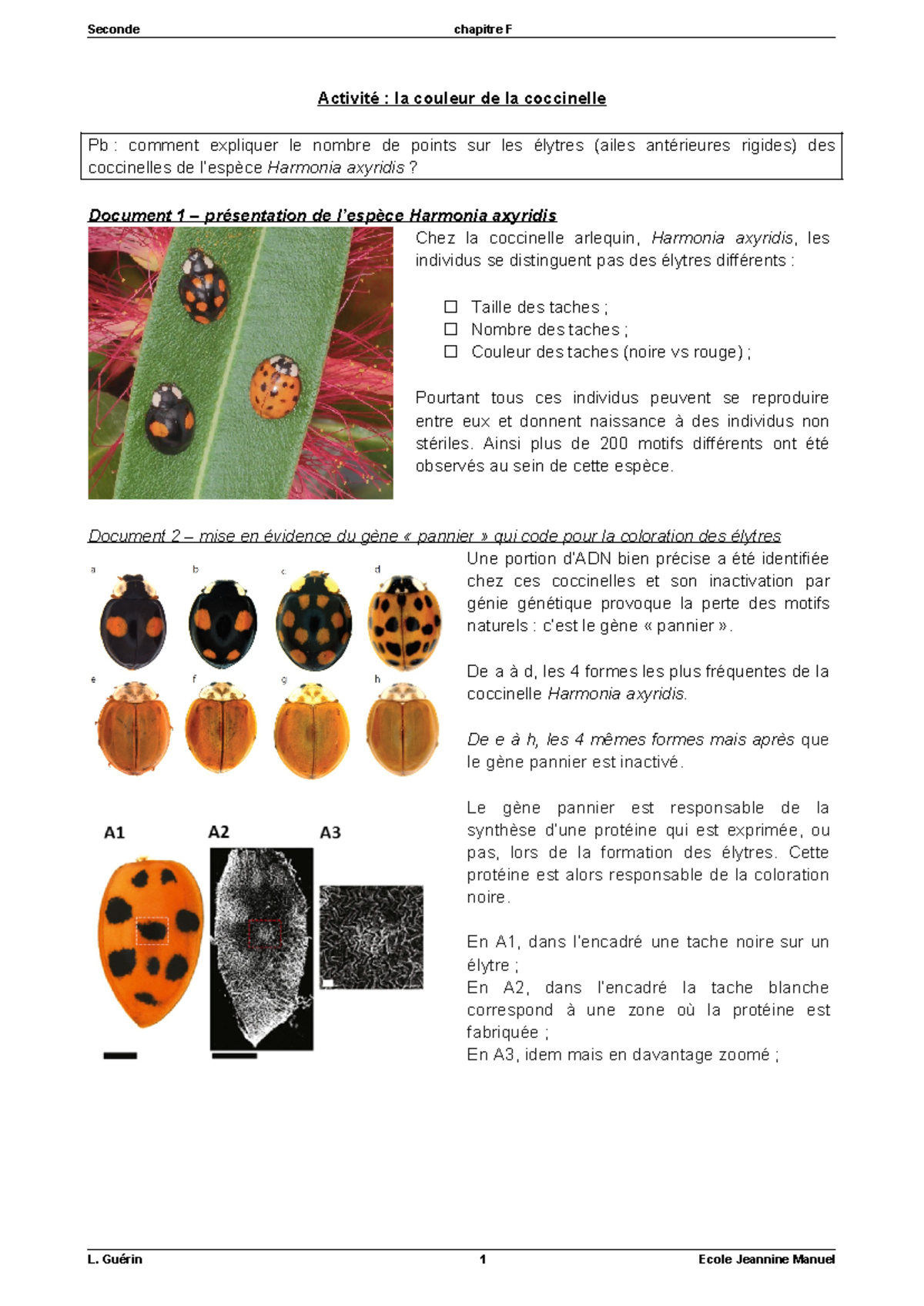 2020 TP coccinelle - Seconde chapitre F Activité : la couleur de la ...