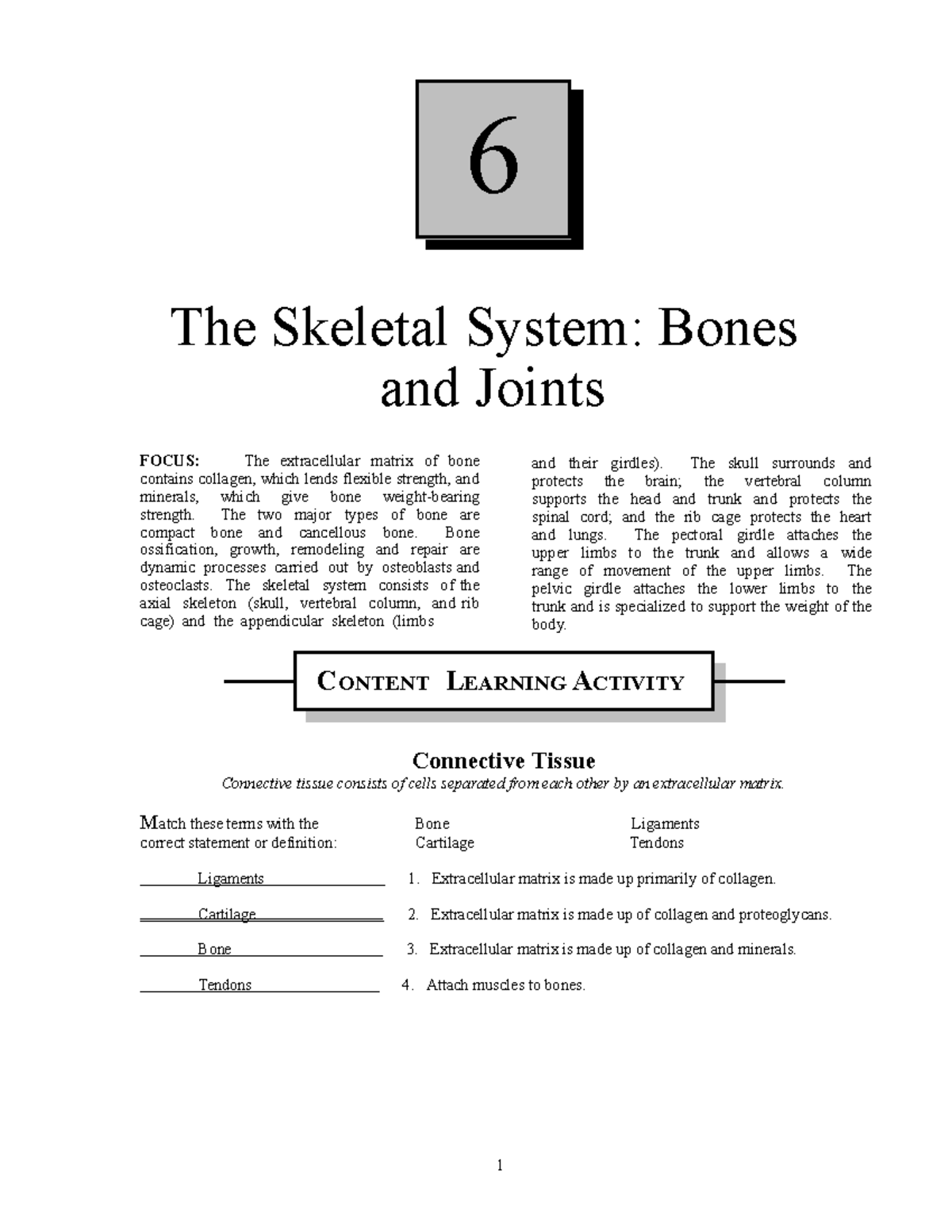 Skeletal System Bones and Joints Worksheet - 1 6 The Skeletal System ...