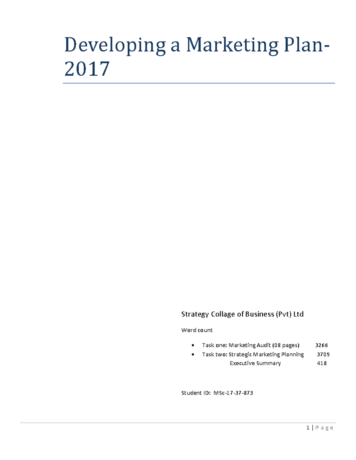 Marketing Plan - Developing a Marketing Plan- 2017 Strategy Collage of ...