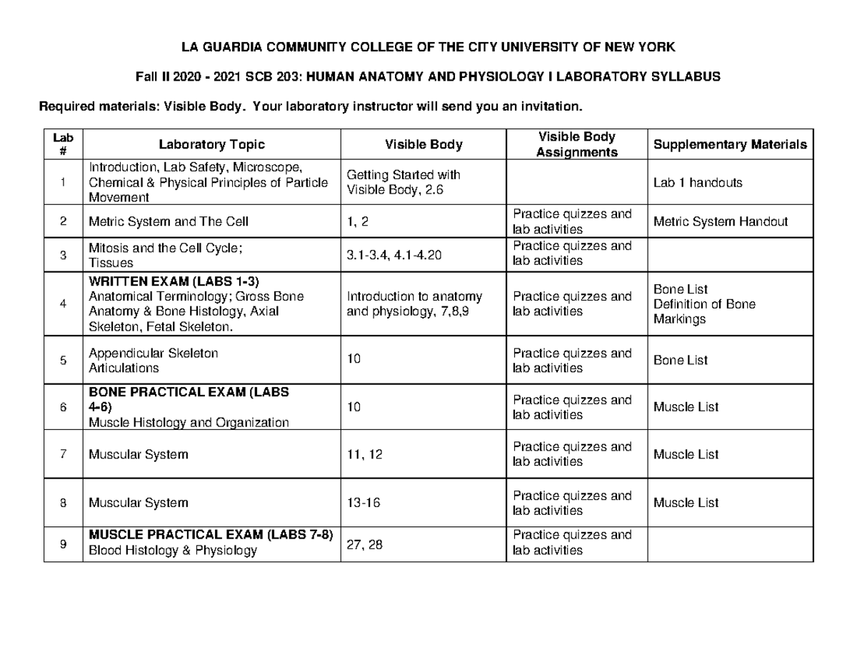 Lab Syllabus - LA GUARDIA COMMUNITY COLLEGE OF THE CITY UNIVERSITY OF ...