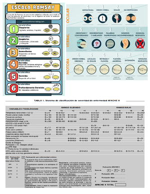 Instructivo FRAP - DIRECCIÓN DE DELEGACIONES FORMATO PARA EL REGISTRO ...