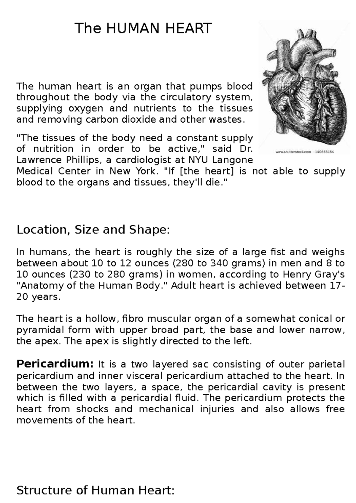 Cardiovascular anatomy Human Heart - The HUMAN HEART The human heart is ...