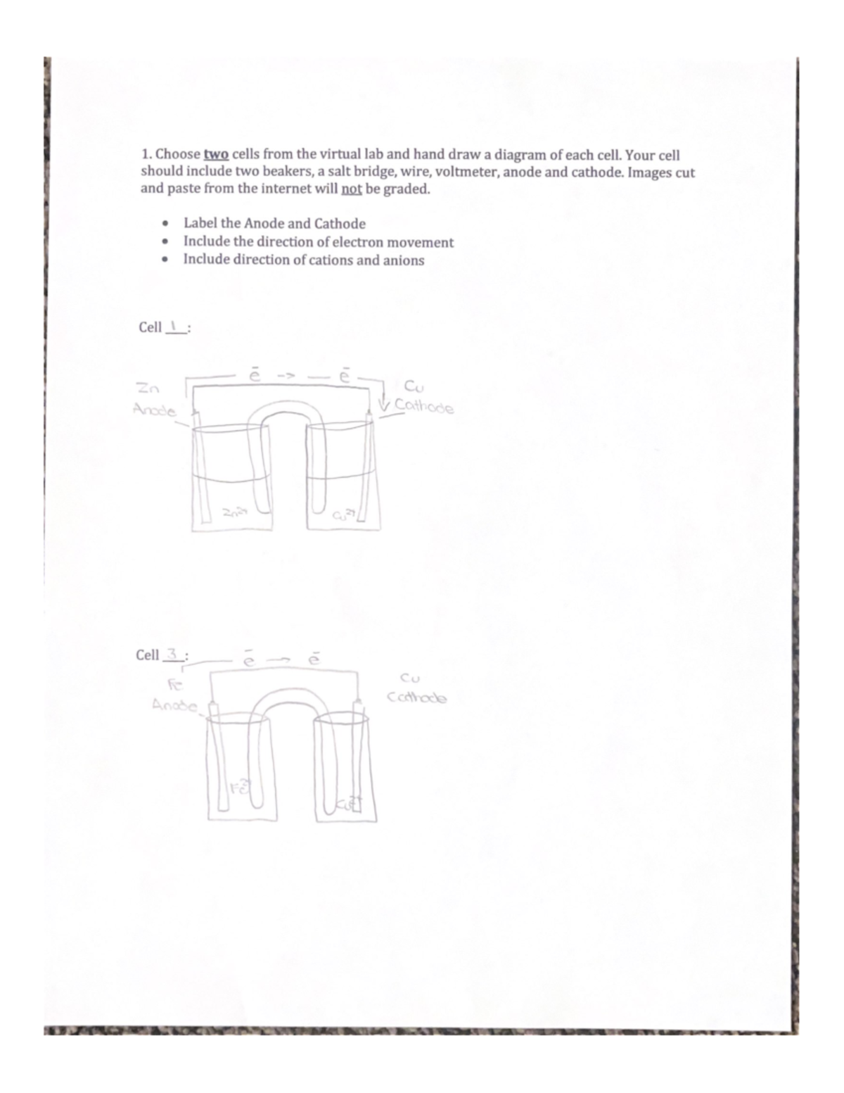 1. Choose two cells from the virtual lab and hand draw a diagram of ...