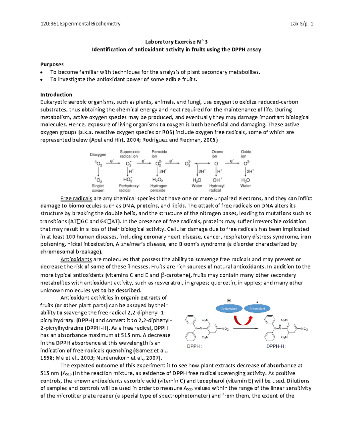 Lab 3 procedure - Laboratory Exercise N° 3 Identification of ...