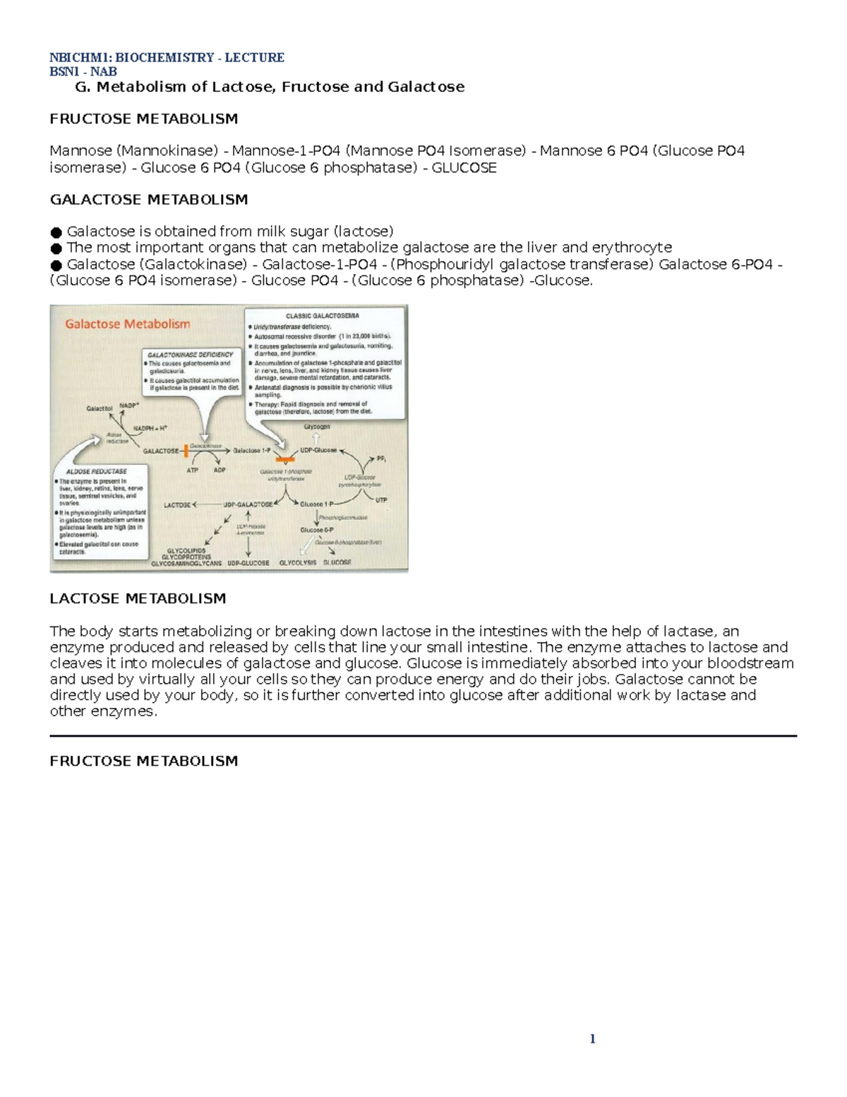 Metabolism of Lactose, Fructose and Galactose - NBICHM1: BIOCHEMISTRY ...
